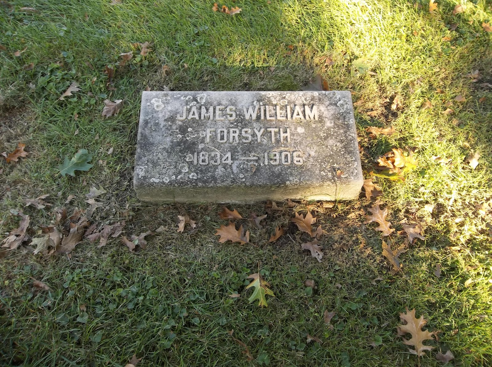 Travels of a Hobgoblin Taphophile: James Forsyth (Wounded Knee) - Green ...