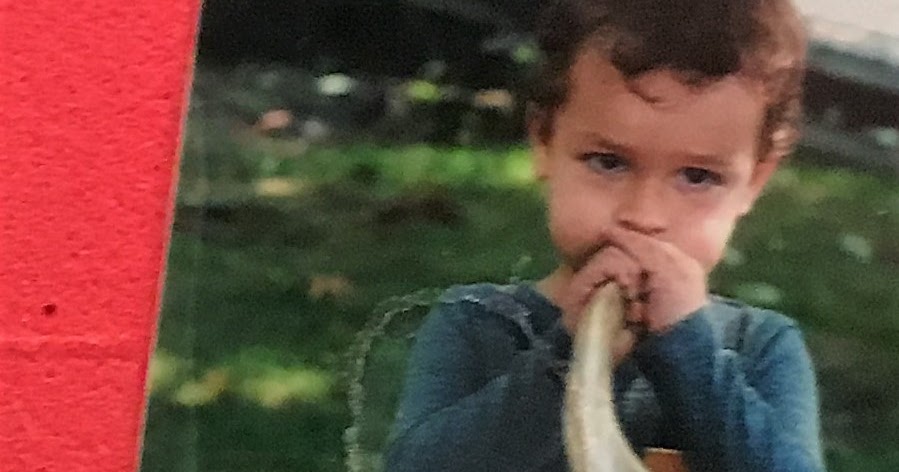 Learning With Children: What Did You Do In School Today?