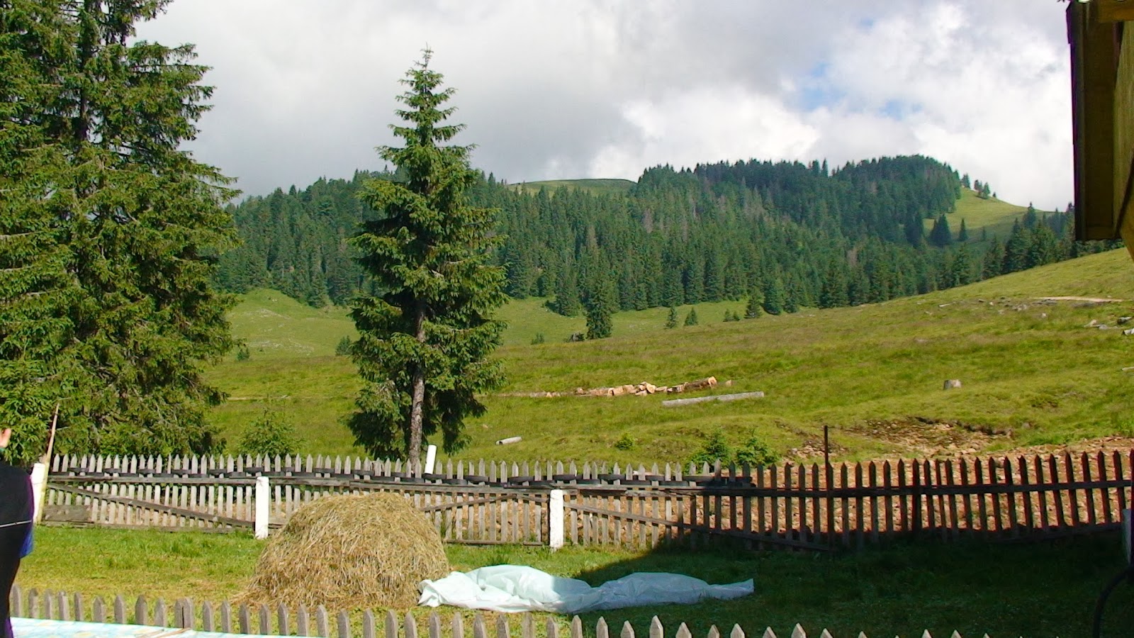 TUDOR PHOTO BLOG: Padis-Zona Turistica,Padis-Touristic Zone,Muntii ...