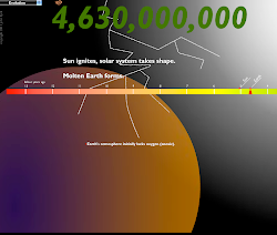 Middle School Science With Ms. Saxe : The Periodic Table