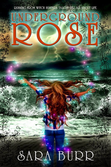 The Edible Bookshelf: Wendy Riggs Burr Release Blitz @SaraBurrBooks