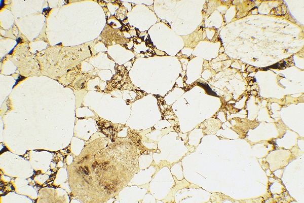 Geology 1403 - Physical Geology: Siliciclastic Sedimentary Rocks