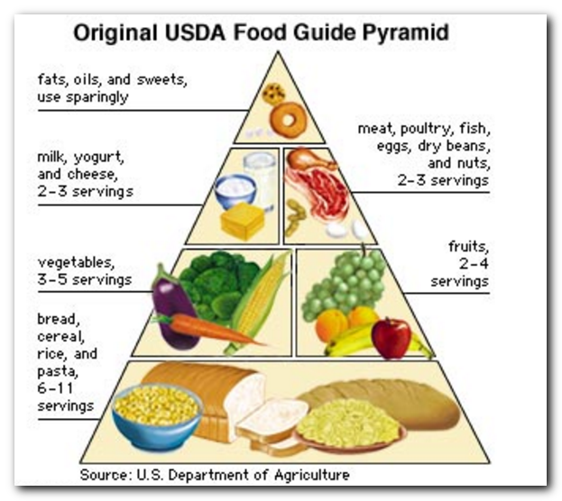 Serving Sizes And Visual Schemes serving-sizes-and-visual-schemes