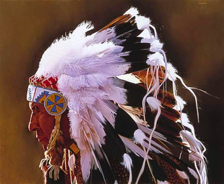 White Wolf : Significance of the Eagle, Feather, Native Headdress