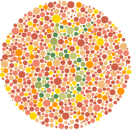 Color Blindness Test : Check your Color Vision Online
