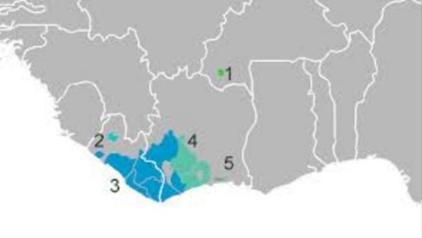 A traves de Africa: Los Kru