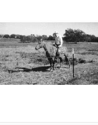The Catahoula Cow Dog: Catahoula Cur, The Louisiana Cattle Dog