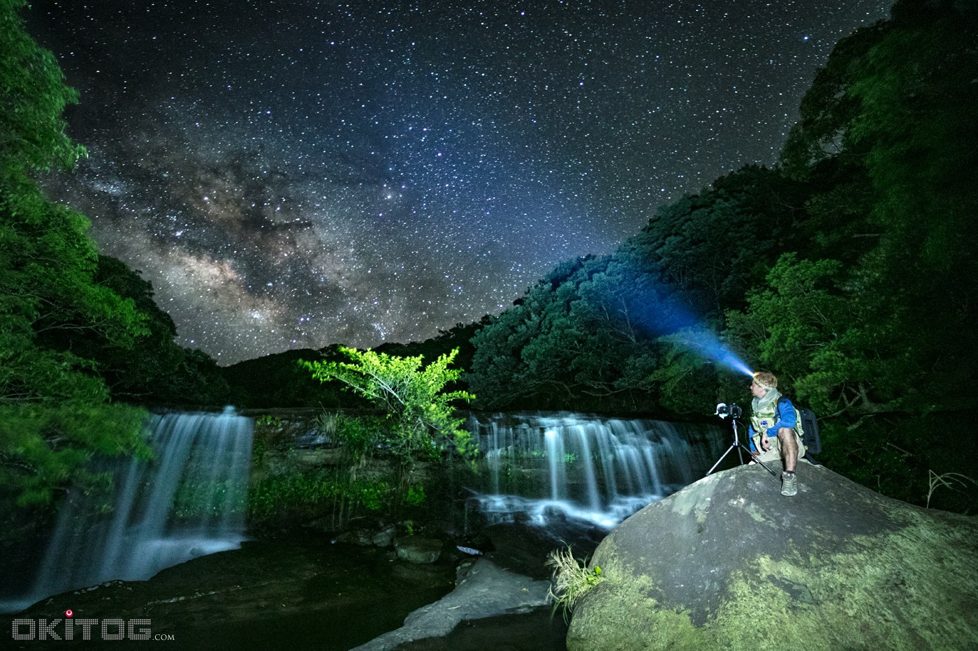 Jungle photo adventures on Iriomote island