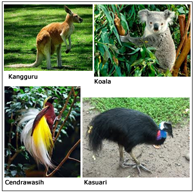 Media Pembelajaran Geografi: Persebaran Flora & Fauna di Dunia dan di ...