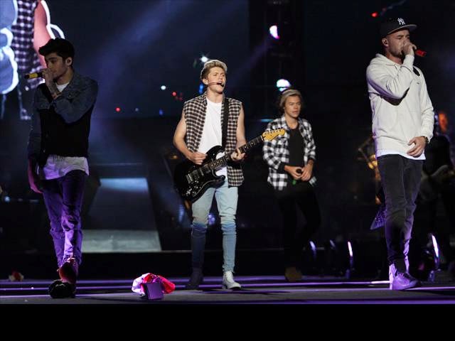 CONCIERTO EN LIMA DE ONE DIRECTION - PURO TIP - Artículos, Masters y Cursos