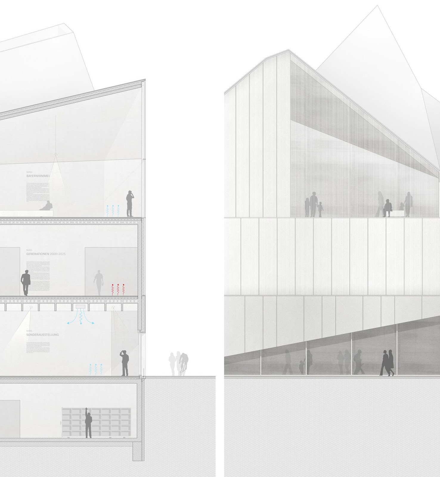 Zamboni . Looc-m – a f a s i a