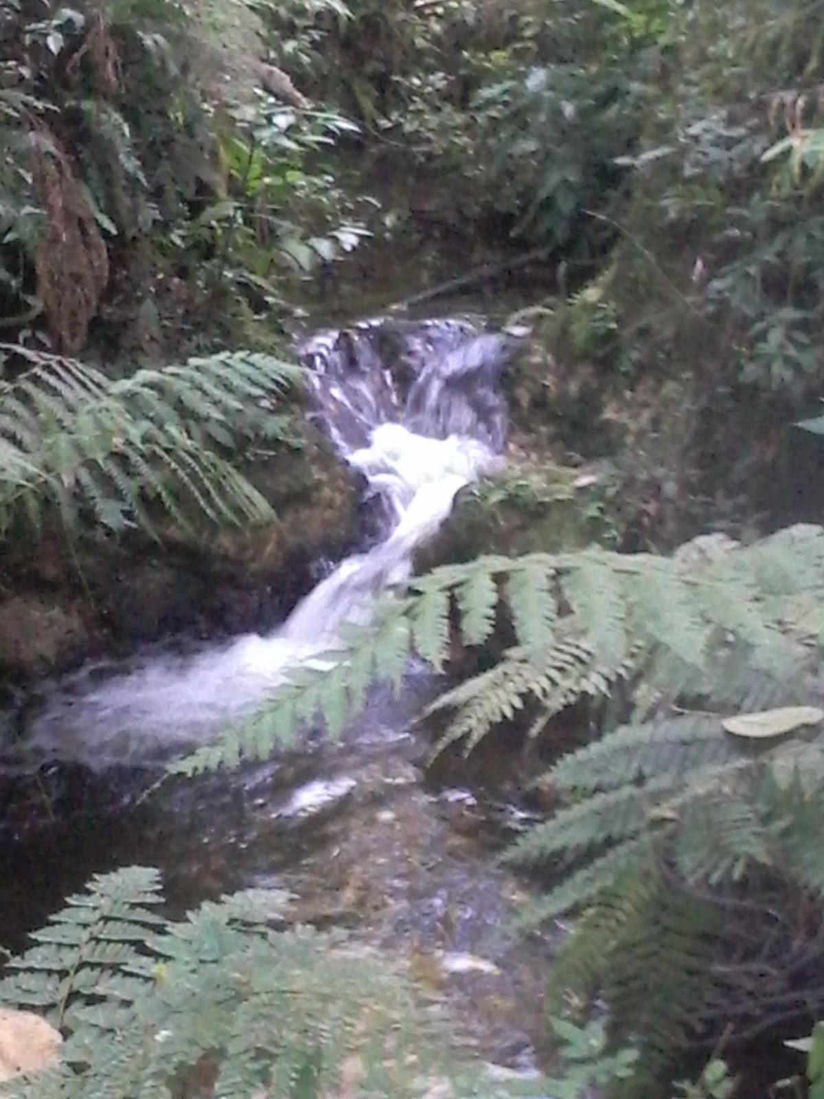 Tapiraí Hoje: Panorâmicas de Tapiraí