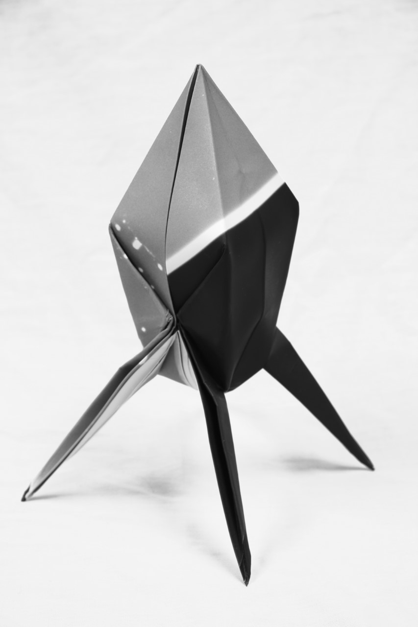 The Rebel Magazine: Introducing Anthony Carr