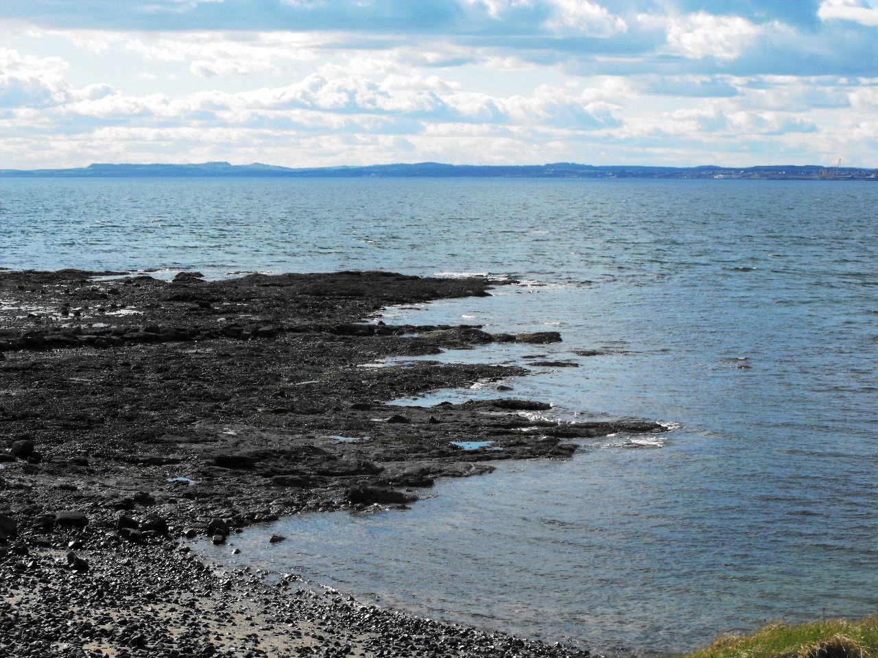 Largo Baywatch: Shell Bay and Ruddons Point