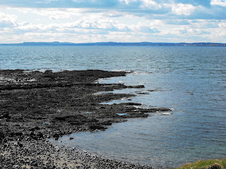 Largo Baywatch: Shell Bay and Ruddons Point