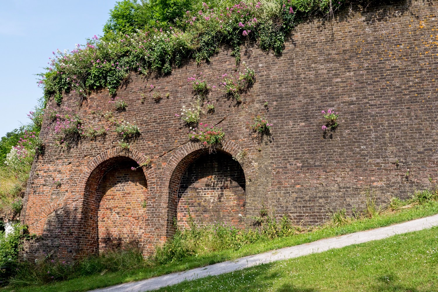 Michael Goodes: Wild Fort Amhurst