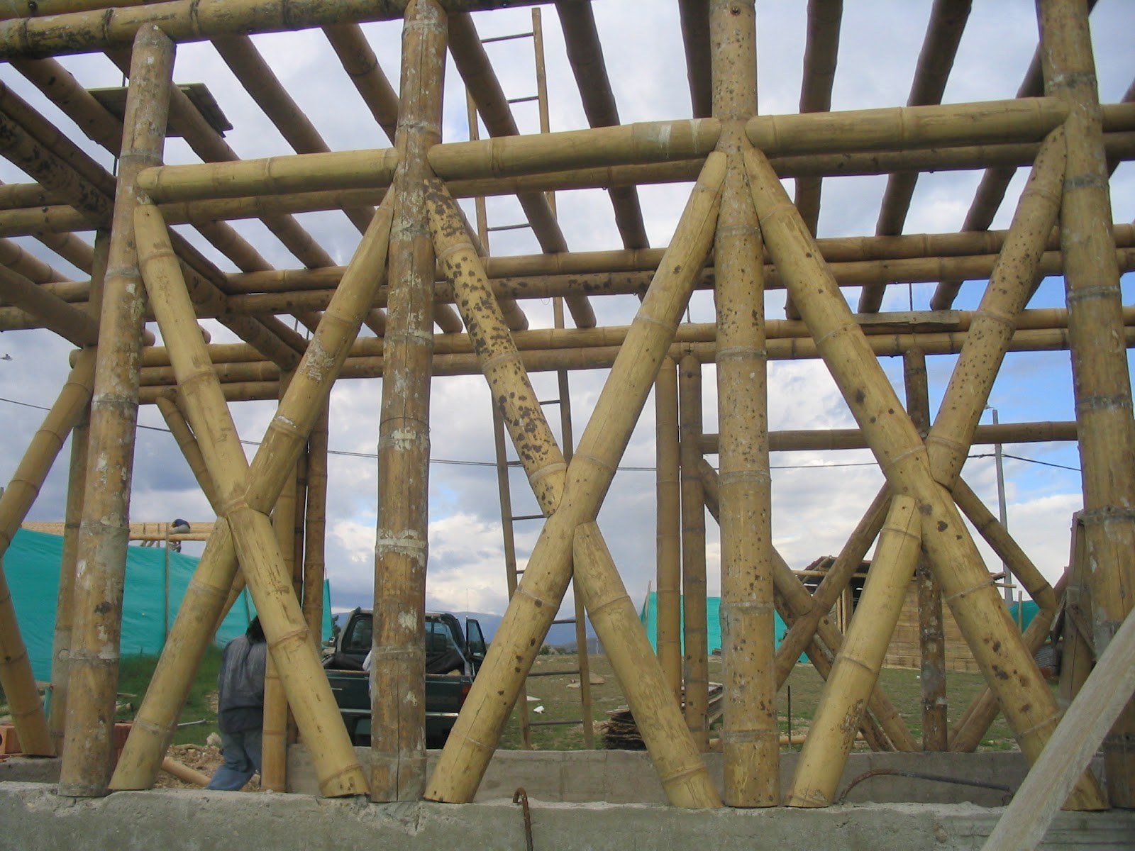 Ingenería en Arquitectura y Diseño Medioambiental: EL BAMBU GUADUA