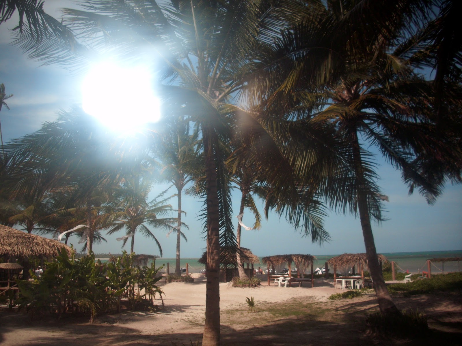ALAGOAS: Praia do Marceneiro - Viagens da Mochilinha Gaúcha