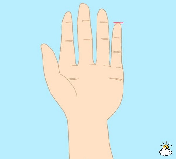 EASY PALMISTRY LESSONS FOR BEGINNERS ~ INDIAN PALMISTRY | PALM READING ...