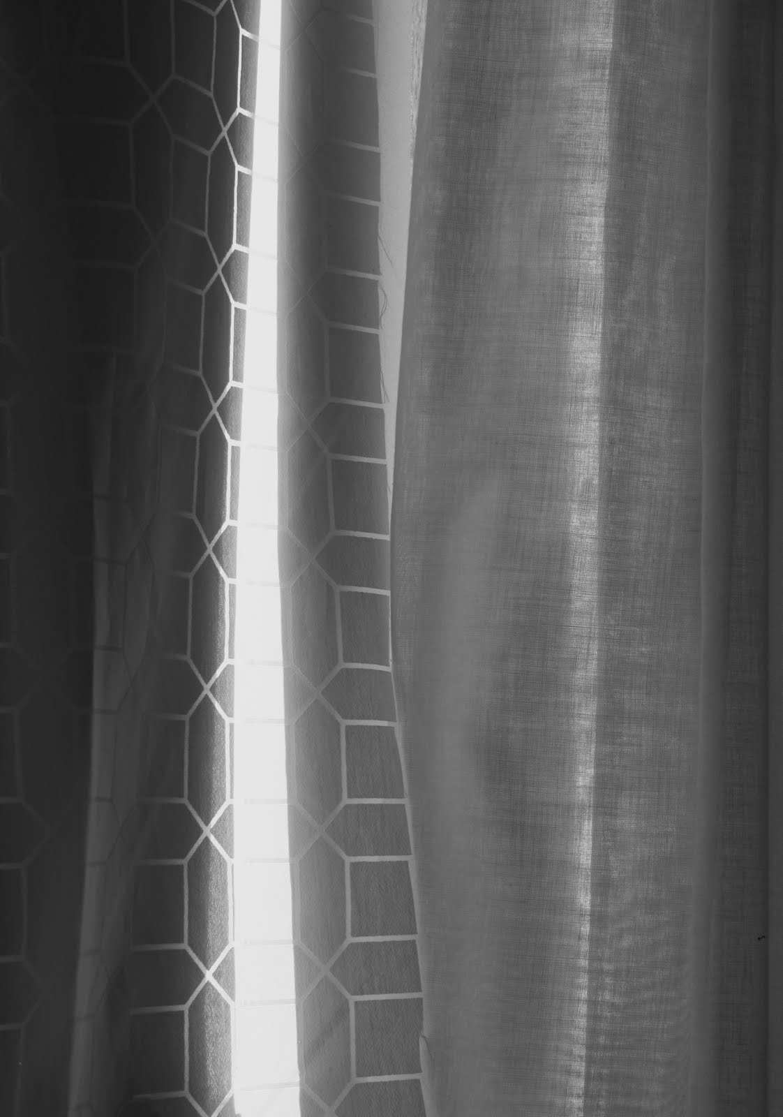 A is for aardvark.: May 2011