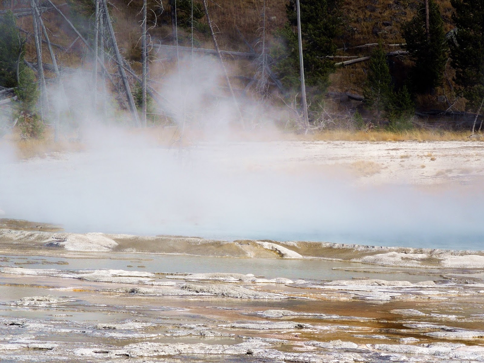 Focusing On Travel : Yellowstone: A Geyser Gazers Guide to the Upper ...