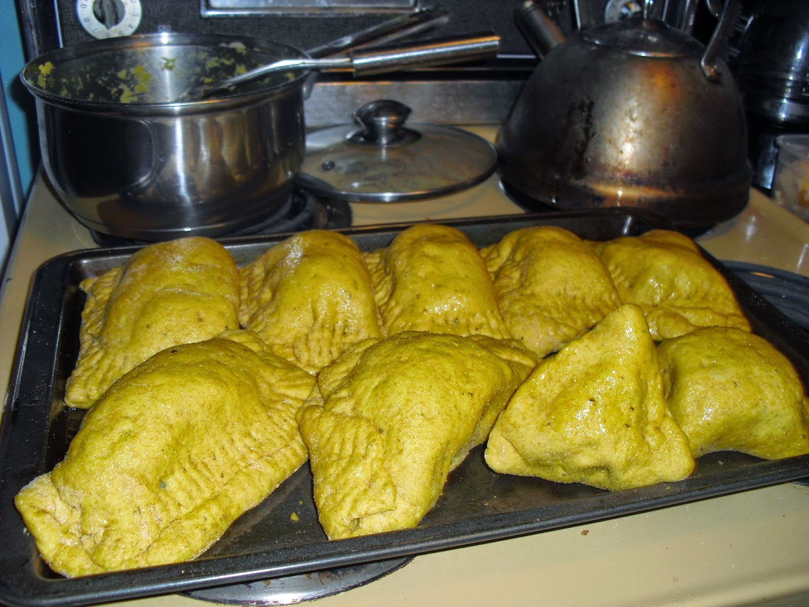 HERRRBIVORE: CURRY POCKETS