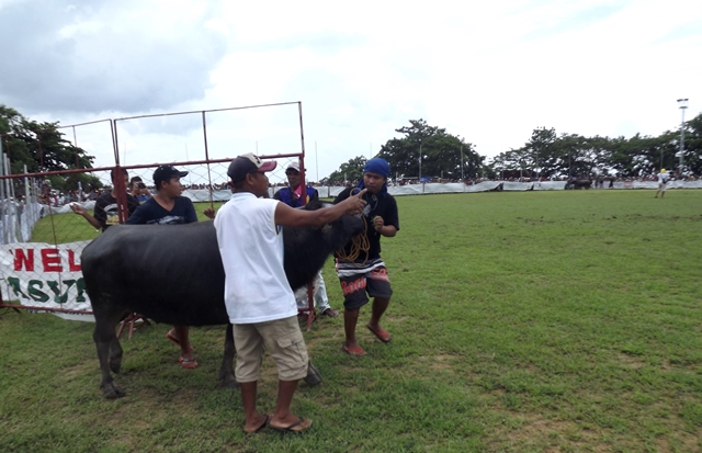 mybeautifulILOILO: Celebrating History and Culture with San Joaquin’s ...