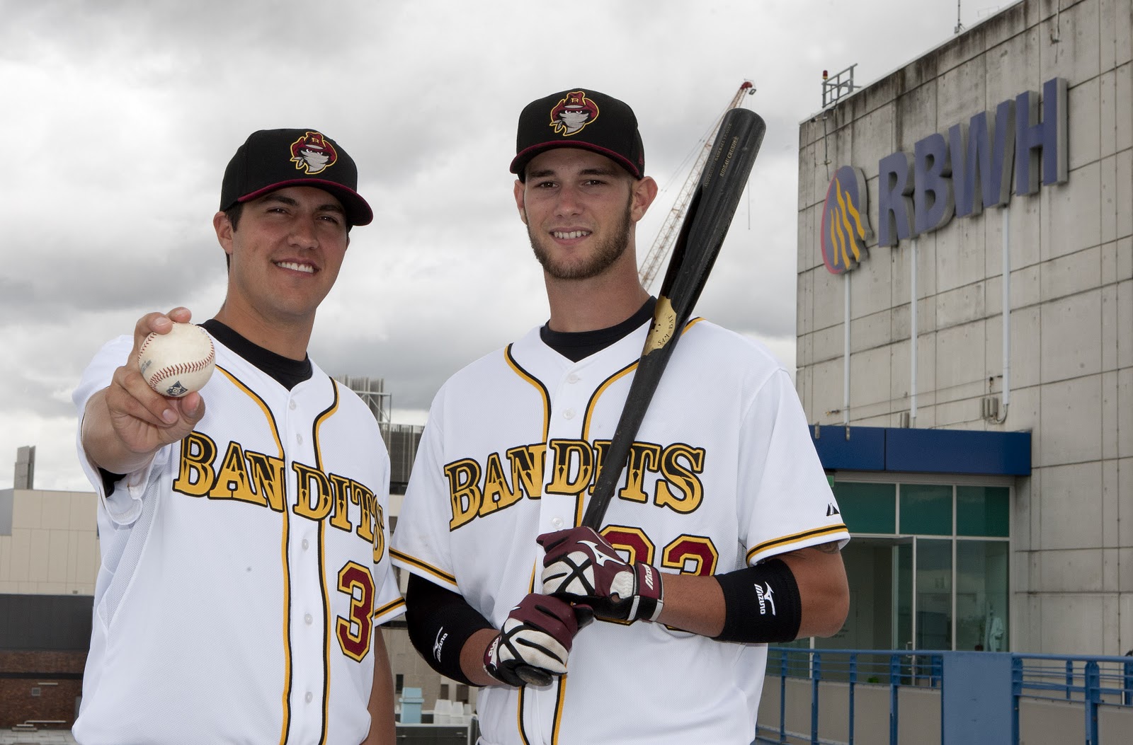 Baseball: January 2012