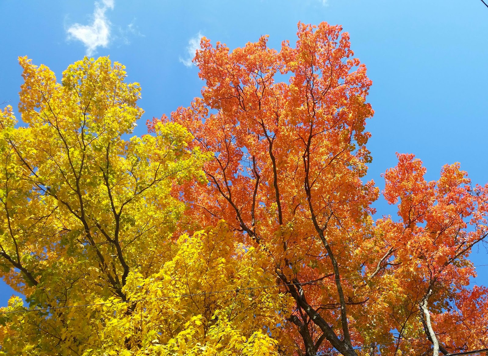 Art Bead Scene Blog: Inspiration Strikes