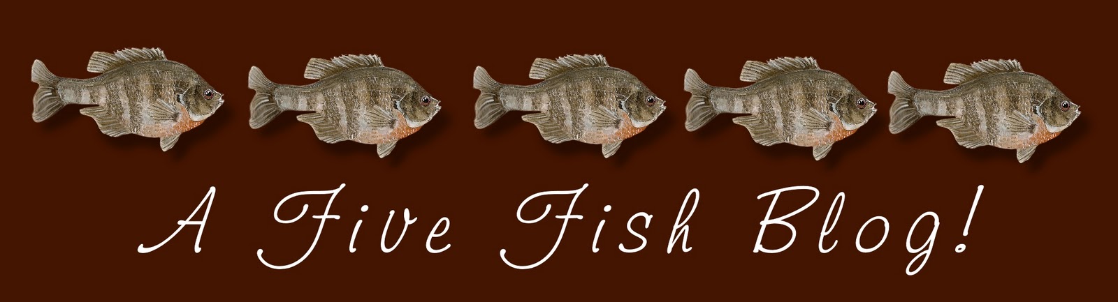 Old field Studio & Leo Lakes: My Five Fish Blogs!