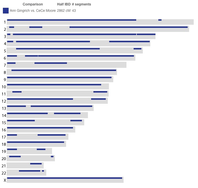 Your Genetic Genealogist: AncestryDNA: Confusing Relationship ...