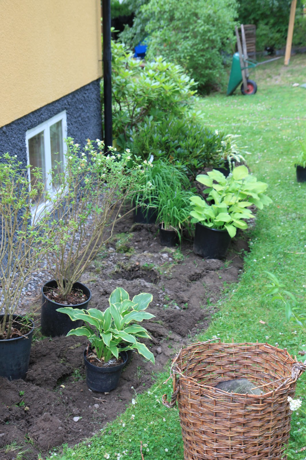 Tankar från Trädgårdsmästarn: Ingen torv i rabatten! Recept på egen ...