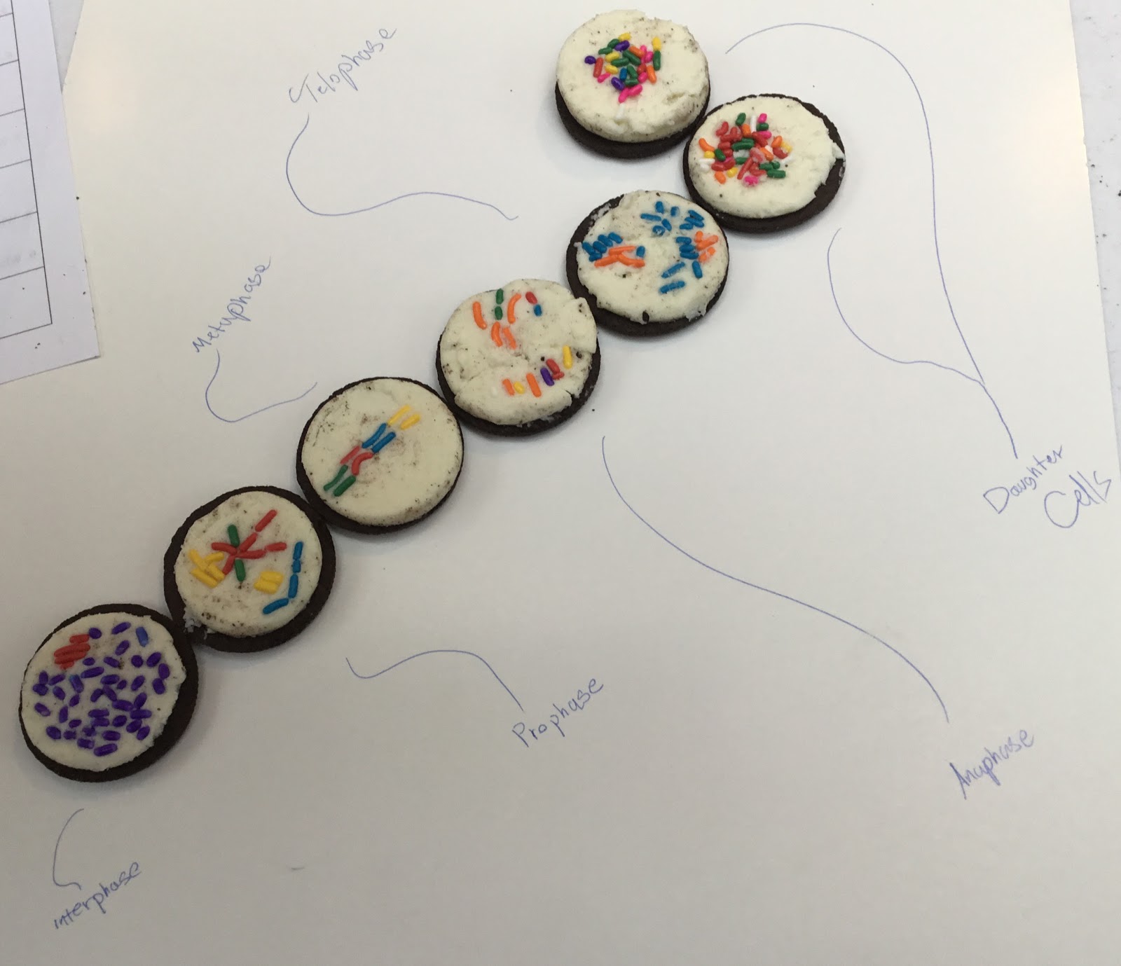 Biology by the Math Mom: 2016