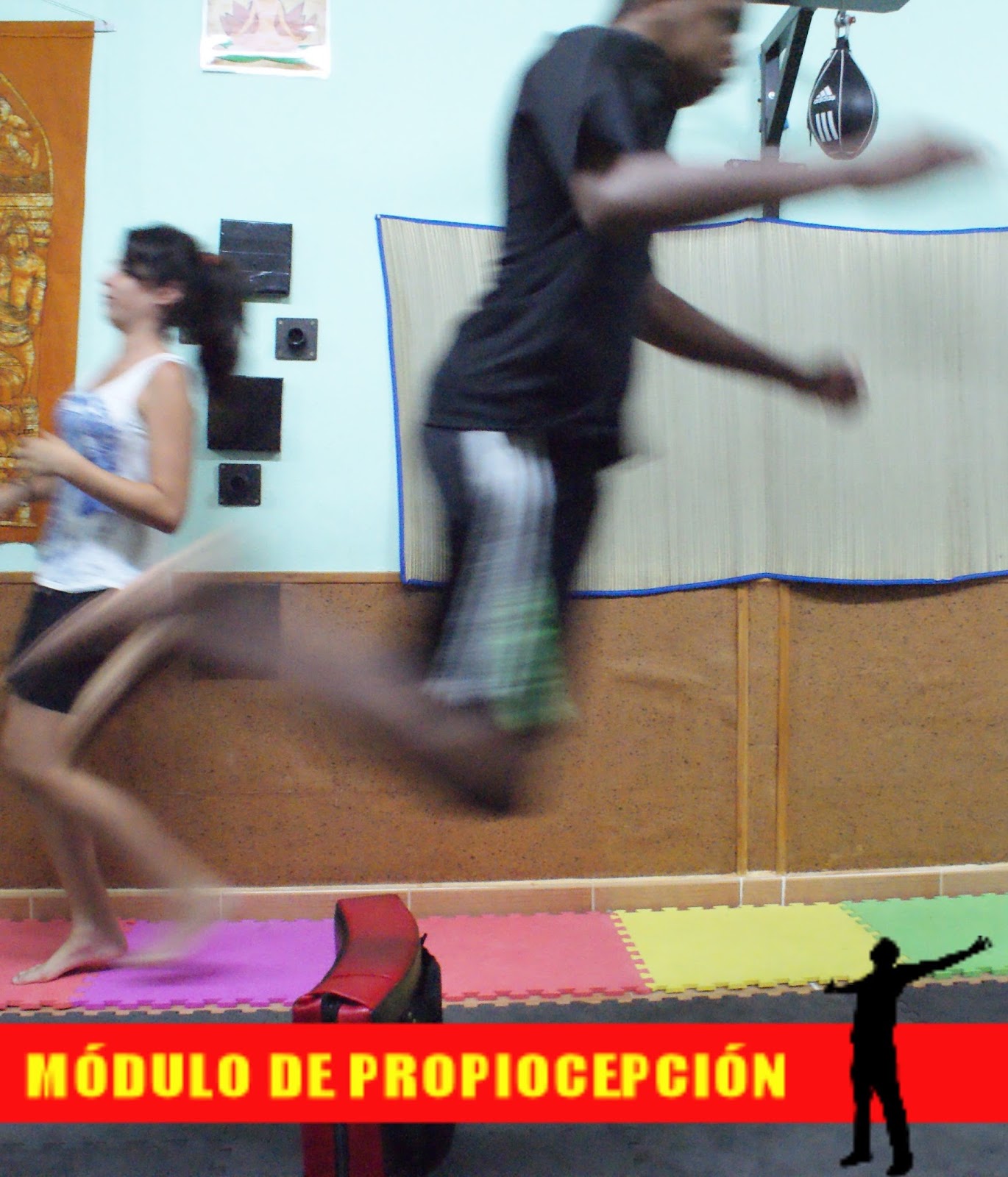 SISTEMA DE AUTOEXPRESION MARCIAL : Módulo de propiocepción y expresión corporal.