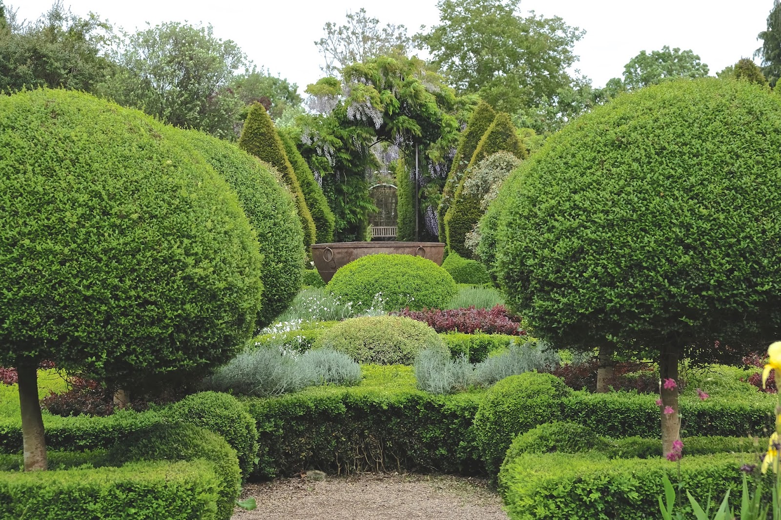 the lime walk: THE ART OF TOPIARY