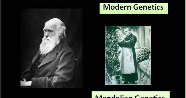 Neo Darwinism Theory of Evolution Definition and Major Postulates ...