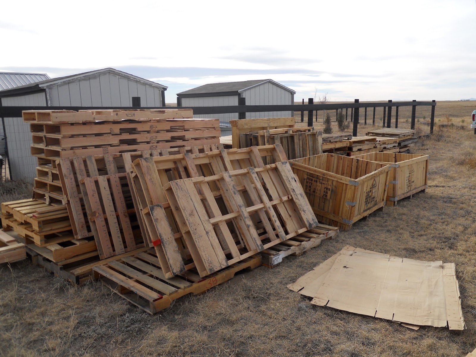 The Thrifty Little Things