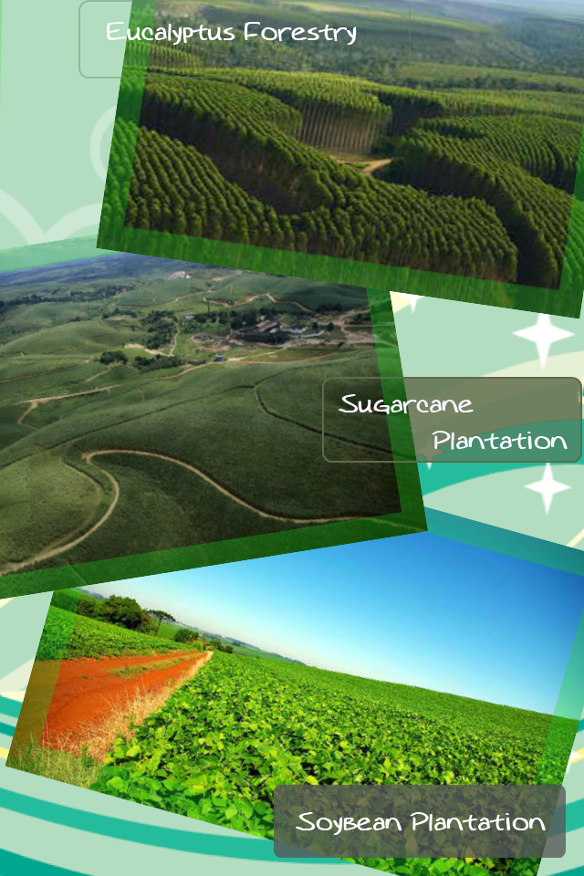 .:Plantation Farming In Brazil:.: Examples of Plantations in Brazil