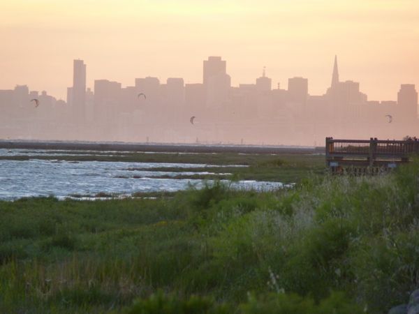 Walking San Francisco Bay: Bay Farm Island loop - May 26, '11