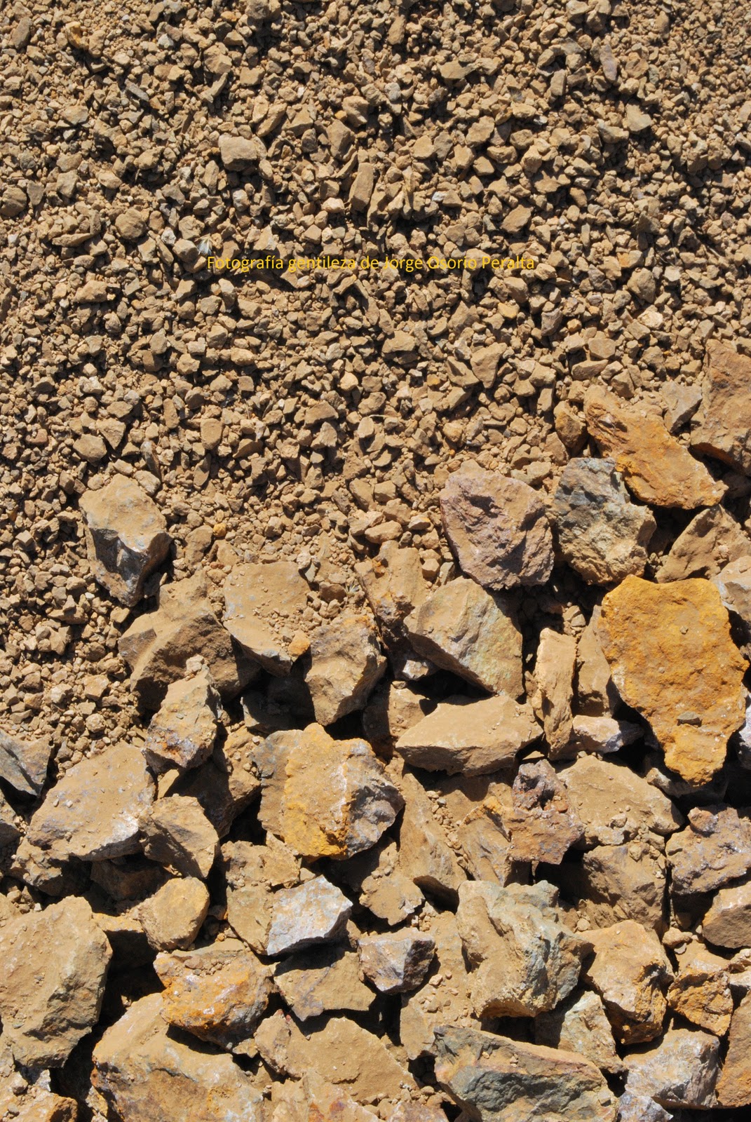 Identidad y Patrimonio Oral de los Mineros Pirquineros de Petorca, V ...