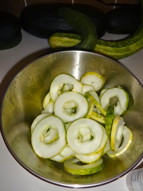 NECK OF THE WOODS CREATIVE: Crispy Garlic Dill Cucumber Chips