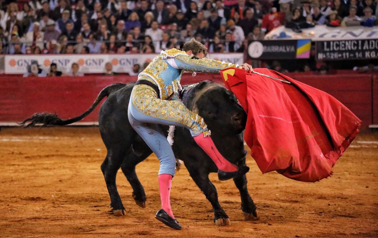 Farpas Blogue: Plaza México: "El Payo" sofre cornada no sétimo toiro