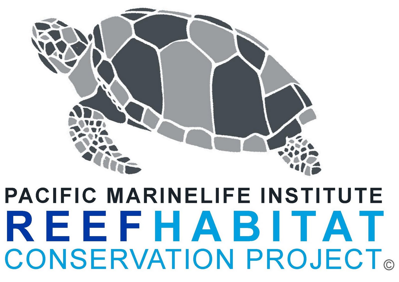 Sea Turtle Conservancy Logo