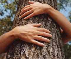 Happy Nieuws Only!: Wereldrecordpoging bomen knuffelen in Nepal