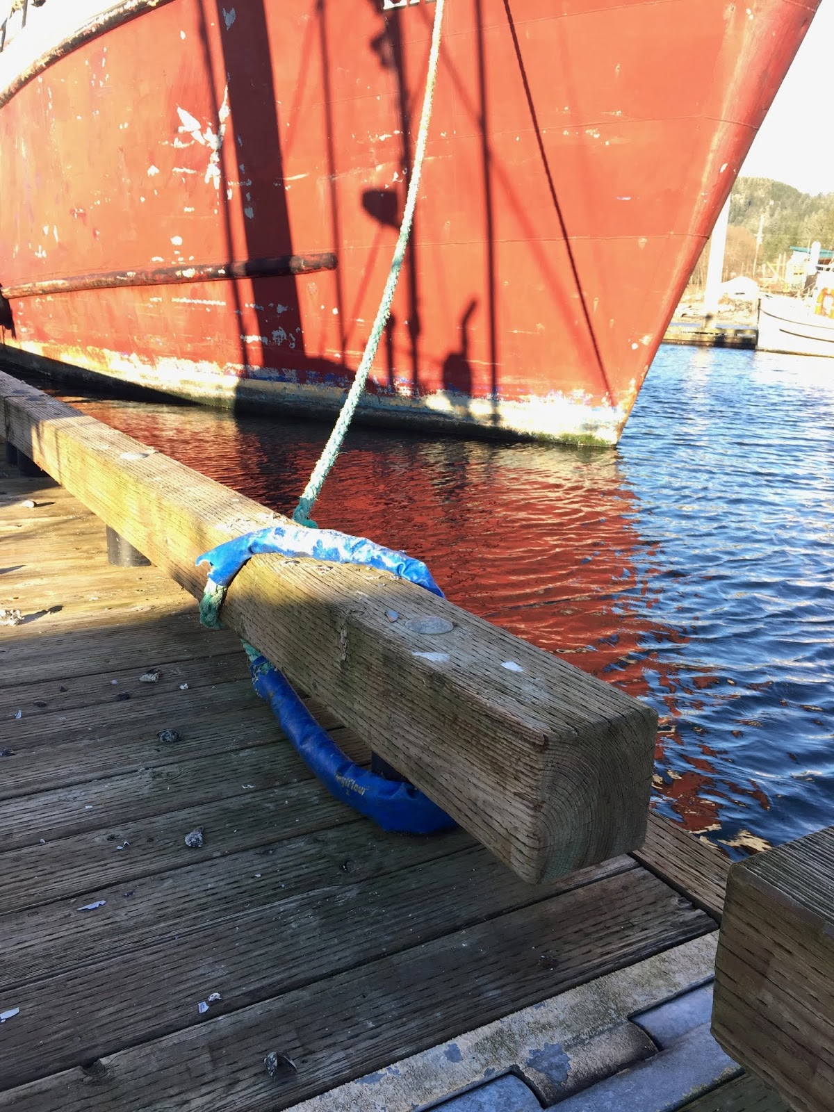 Denali Rose: Tidbit: Docking with Bull Rails Instead of Cleats ...