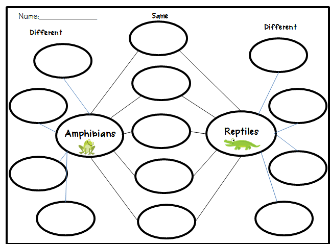 Sample's Superstars: Animal Classifications Unit