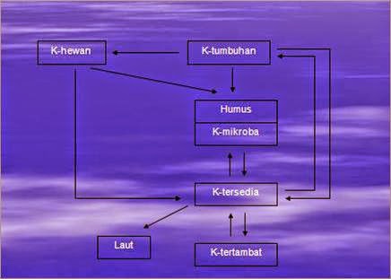 Unsur Hara Makro(NPK) | El-Anshary