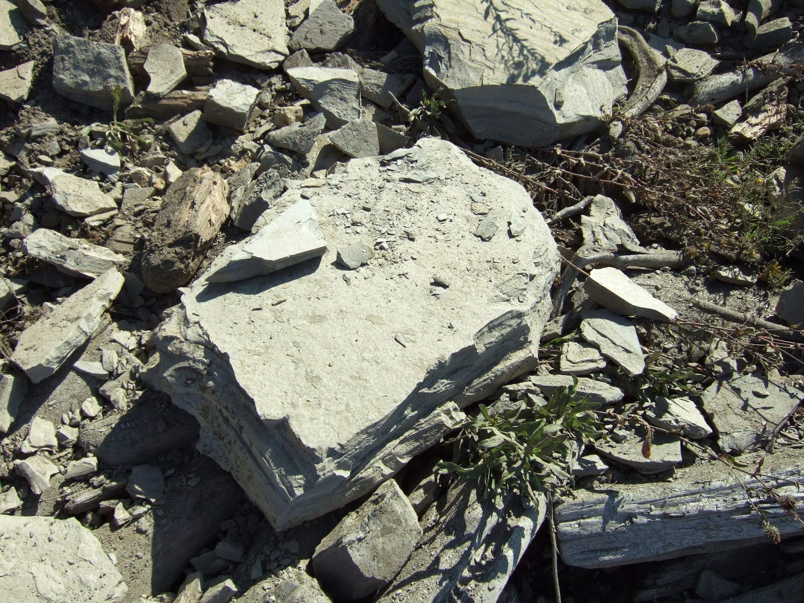 Reading the Washington Landscape: Silts and Slope Failures at Discovery Bay