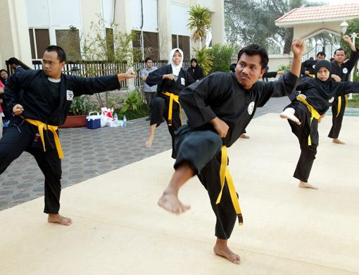 Warisan Kesenian Malaysia: Silat