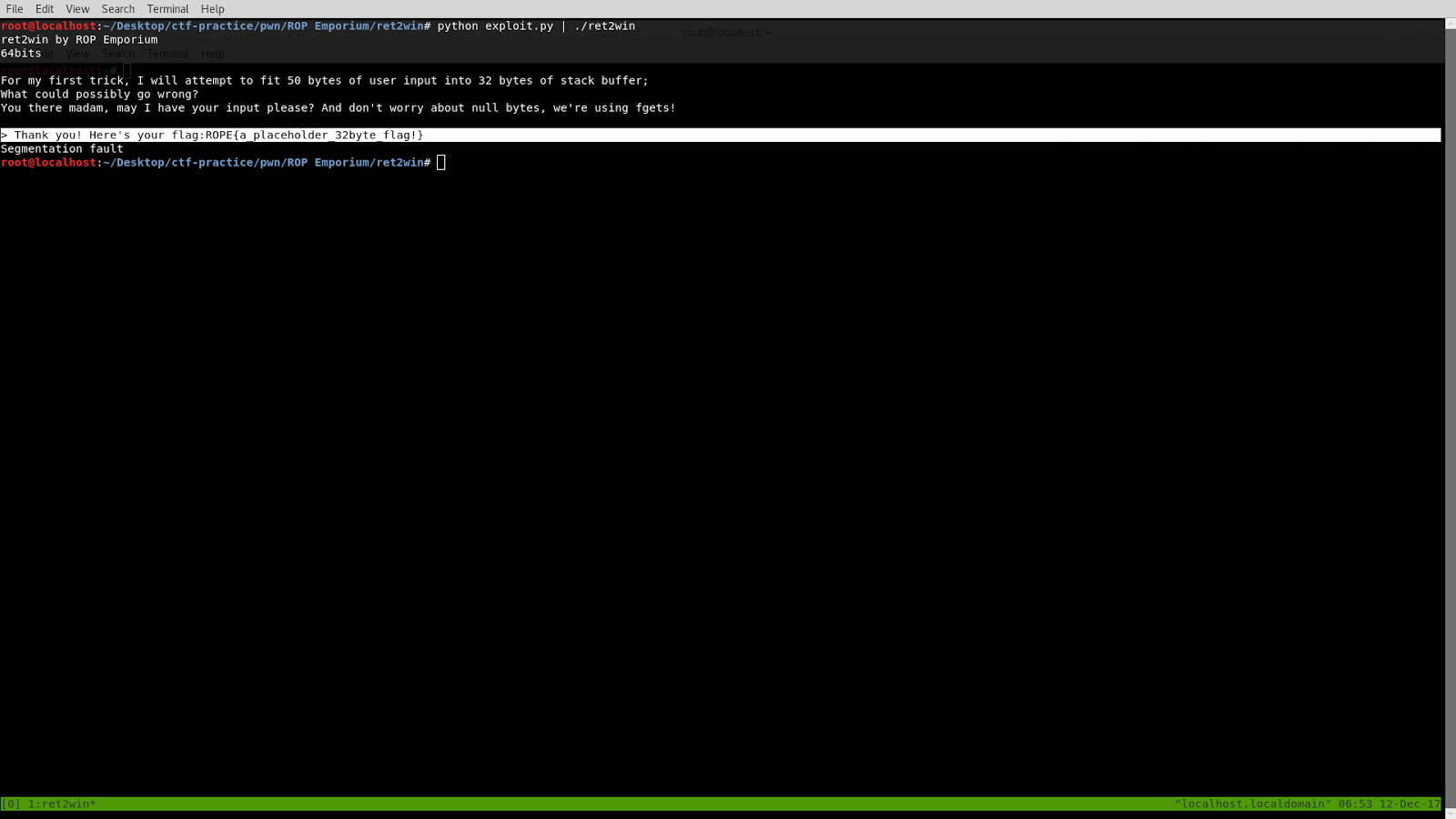 ROP Emporium : Ret2Win